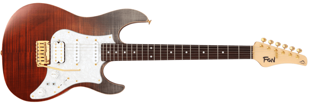 FGN Guitars – Fouche Guitars